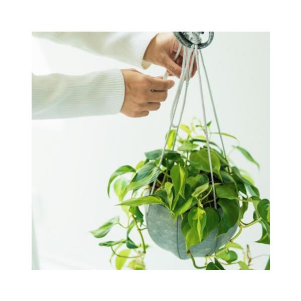 BIGワード：ハンギングプランター 吊り鉢 観葉植物 インテリアグリーン ガーデニング プランターハンガー 植木鉢 吊り下げ 室内園芸 ベランダガーデン Sen 八幡化成 ローリーポット 専用ロープ 耐水ロープ ハンギングロープ Sフック付...