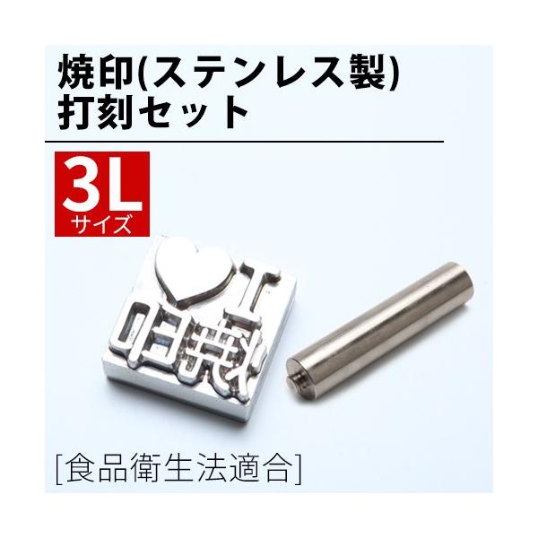 金属に使える オーダー 刻印 打刻印 打印 オリジナル デザイン真鍮 銅 アルミニウム 錫 レザークラフト 革細工 革製品 レザー アイテム 木材 プレート 手動 セット 道具 ポンチ 3mm 6mm 打刻式 金属 真鍮 スタンプ エンボッ...