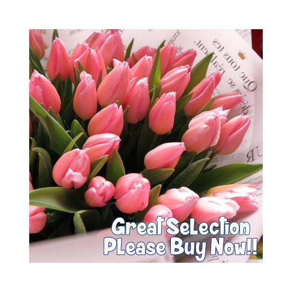 チューリップ 花束 プレゼントみんな大好きなチューリップのみをザクッとまとめた可愛く・インパクトのある花束です！　色は可愛い〜カラフルミックスで20本〜25本のおまかせカラフルでお届けです。　色指定のご希望の場合一度お問い合わせ下さい※可愛...