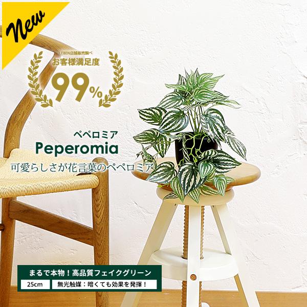 [ 商品詳細 ]商品名：ペペロミア【無光触媒 加工済み】サイズ：H：約25cm[葉の広げ方により多少異なります。]商品内容：・フェイクグリーン本体配送方法：佐川急便：送料無料（沖縄・離島は別途承ります）代引発送ご希望の場合には、手数料が別途...