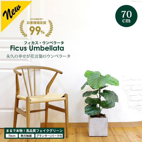 [ 商品詳細 ]フェイクグリーン商品名：フィカス・ウンベラータ【無光触媒 加工済み】サイズ：H：約70cm[葉の広げ方により多少異なります。]商品内容：・フェイクグリーン本体・ファイバークレイ プランター[カラー：ホワイト/ライトグレー/チ...