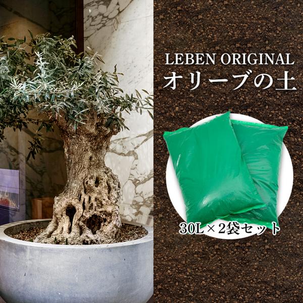 商品名：リーベンオリジナル オリーブの土 2袋1セットセット内容：30L×2袋主な配合内容：・赤玉土・ボラ土・バーク堆肥・腐葉土・石灰（調整材）pH：pH8前後保証：商品到着後5日間注意事項：・直接手で触れると手荒れを起こす場合があります。...