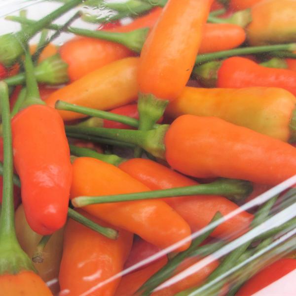 ※メーカー都合によりパッケージ等の外装面で異なる場合がございますので、あらかじめご了承くださいませ(免責) 画像は見本(イメージ)です。画像内に写った期限は撮影時のものであり、お届けする商品は期限内となります。詳細な期限については直接お問合...