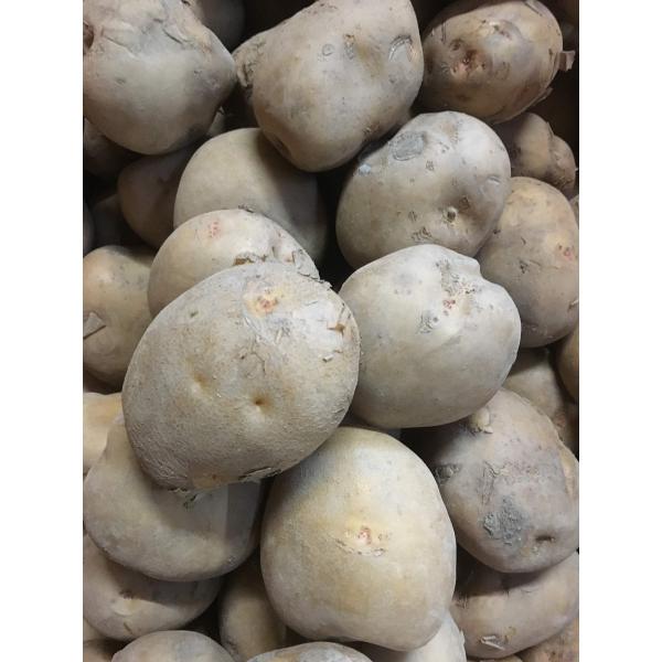 ※メーカー都合によりパッケージ等の外装面で異なる場合がございますので、あらかじめご了承くださいませ(免責) 画像は見本(イメージ)です。画像内に写った期限は撮影時のものであり、お届けする商品は期限内となります。詳細な期限については直接お問合...