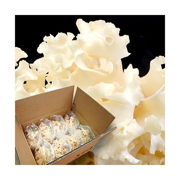 ※メーカー都合によりパッケージ等の外装面で異なる場合がございますので、あらかじめご了承くださいませ(免責) 画像は見本(イメージ)です。画像内に写った期限は撮影時のものであり、お届けする商品は期限内となります。詳細な期限については直接お問合...