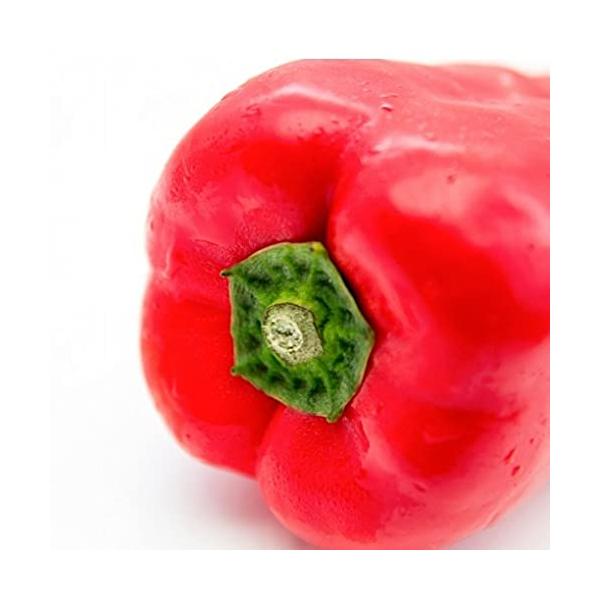 ※メーカー都合によりパッケージ等の外装面で異なる場合がございますので、あらかじめご了承くださいませ(免責) 画像は見本(イメージ)です。画像内に写った期限は撮影時のものであり、お届けする商品は期限内となります。詳細な期限については直接お問合...