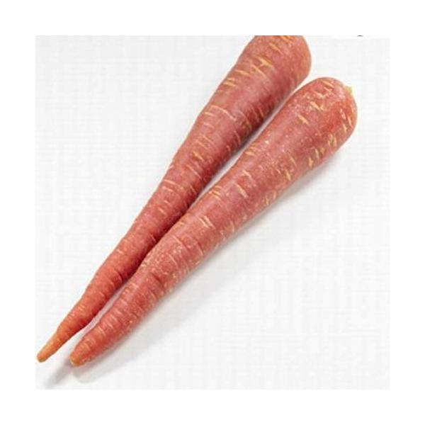 ※メーカー都合によりパッケージ等の外装面で異なる場合がございますので、あらかじめご了承くださいませ(免責) 画像は見本(イメージ)です。画像内に写った期限は撮影時のものであり、お届けする商品は期限内となります。詳細な期限については直接お問合...