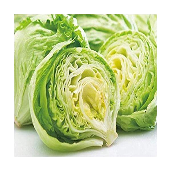 ※メーカー都合によりパッケージ等の外装面で異なる場合がございますので、あらかじめご了承くださいませ(免責) 画像は見本(イメージ)です。画像内に写った期限は撮影時のものであり、お届けする商品は期限内となります。詳細な期限については直接お問合...