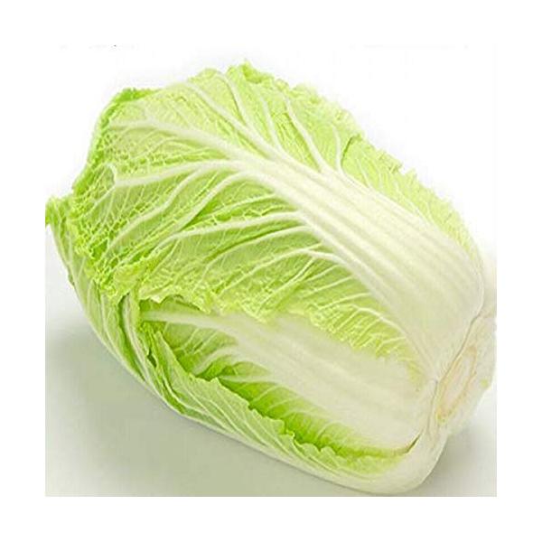 ※メーカー都合によりパッケージ等の外装面で異なる場合がございますので、あらかじめご了承くださいませ(免責) 画像は見本(イメージ)です。画像内に写った期限は撮影時のものであり、お届けする商品は期限内となります。詳細な期限については直接お問合...