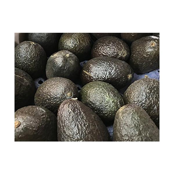 ※メーカー都合によりパッケージ等の外装面で異なる場合がございますので、あらかじめご了承くださいませ(免責) 画像は見本(イメージ)です。画像内に写った期限は撮影時のものであり、お届けする商品は期限内となります。詳細な期限については直接お問合...