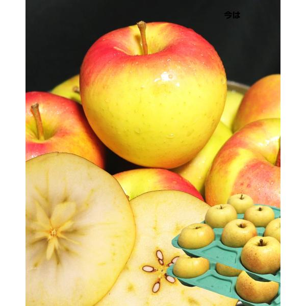 ※メーカー都合によりパッケージ等の外装面で異なる場合がございますので、あらかじめご了承くださいませ(免責) 画像は見本(イメージ)です。画像内に写った期限は撮影時のものであり、お届けする商品は期限内となります。詳細な期限については直接お問合...