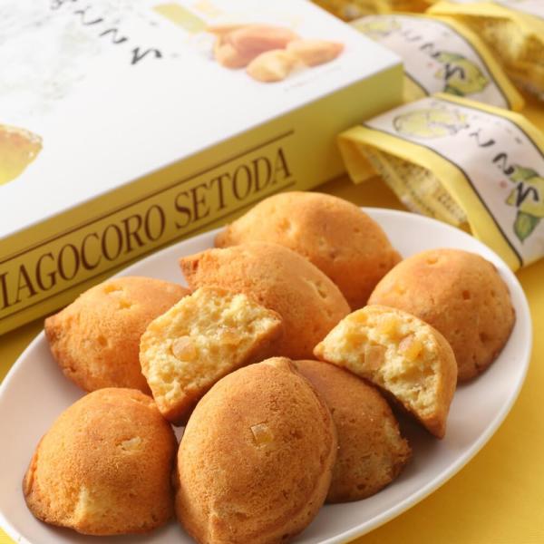 ※メーカー都合によりパッケージ等の外装面で異なる場合がございますので、あらかじめご了承くださいませ(免責) 画像は見本(イメージ)です。画像内に写った期限は撮影時のものであり、お届けする商品は期限内となります。詳細な期限については直接お問合...