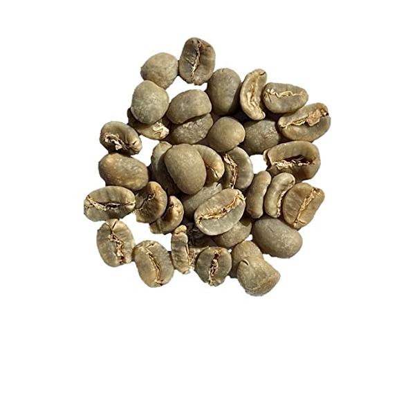 ※メーカー都合によりパッケージ等の外装面で異なる場合がございますので、あらかじめご了承くださいませ(免責) 画像は見本(イメージ)です。画像内に写った期限は撮影時のものであり、お届けする商品は期限内となります。詳細な期限については直接お問合...