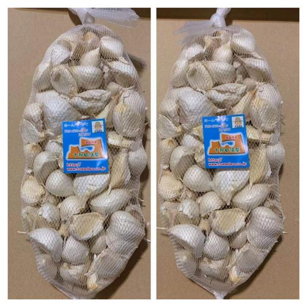 ※メーカー都合によりパッケージ等の外装面で異なる場合がございますので、あらかじめご了承くださいませ(免責) 画像は見本(イメージ)です。画像内に写った期限は撮影時のものであり、お届けする商品は期限内となります。詳細な期限については直接お問合...