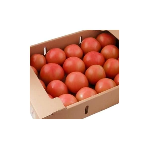 ※メーカー都合によりパッケージ等の外装面で異なる場合がございますので、あらかじめご了承くださいませ(免責) 画像は見本(イメージ)です。画像内に写った期限は撮影時のものであり、お届けする商品は期限内となります。詳細な期限については直接お問合...