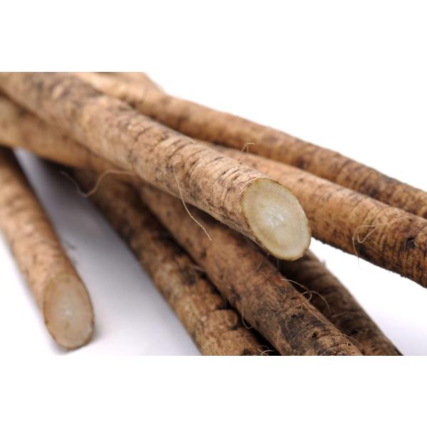 ※メーカー都合によりパッケージ等の外装面で異なる場合がございますので、あらかじめご了承くださいませ(免責) 画像は見本(イメージ)です。画像内に写った期限は撮影時のものであり、お届けする商品は期限内となります。詳細な期限については直接お問合...