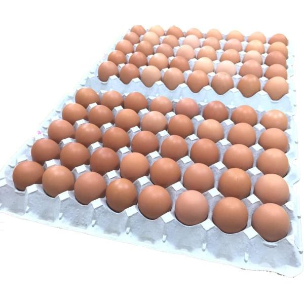 ※メーカー都合によりパッケージ等の外装面で異なる場合がございますので、あらかじめご了承くださいませ(免責) 画像は見本(イメージ)です。画像内に写った期限は撮影時のものであり、お届けする商品は期限内となります。詳細な期限については直接お問合...