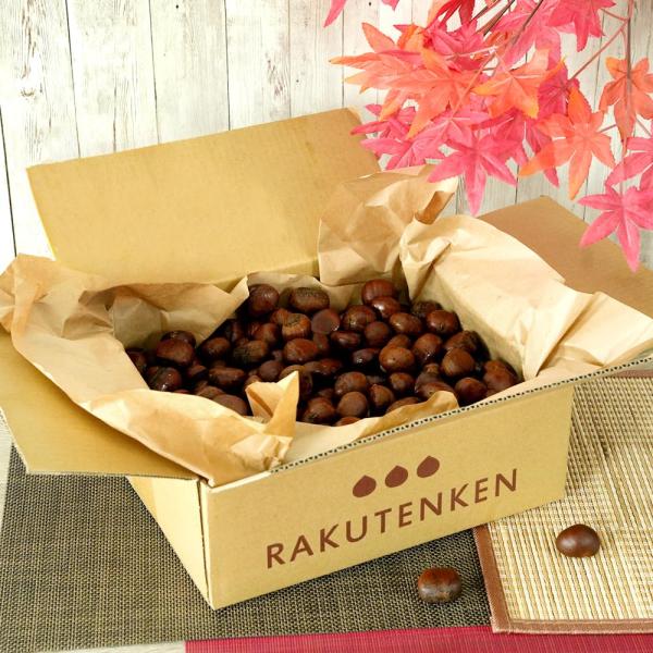 ※メーカー都合によりパッケージ等の外装面で異なる場合がございますので、あらかじめご了承くださいませ(免責) 画像は見本(イメージ)です。画像内に写った期限は撮影時のものであり、お届けする商品は期限内となります。詳細な期限については直接お問合...