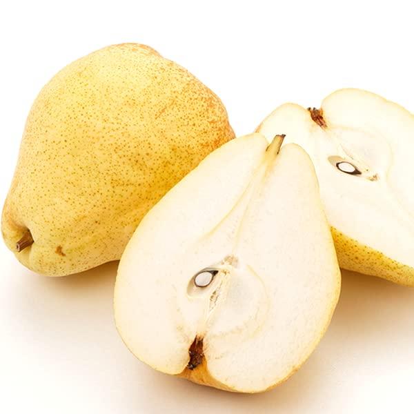 ※メーカー都合によりパッケージ等の外装面で異なる場合がございますので、あらかじめご了承くださいませ(免責) 画像は見本(イメージ)です。画像内に写った期限は撮影時のものであり、お届けする商品は期限内となります。詳細な期限については直接お問合...