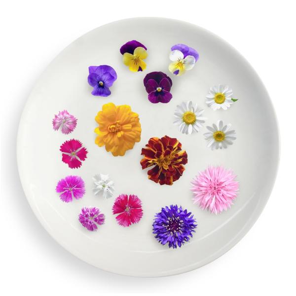 ※メーカー都合によりパッケージ等の外装面で異なる場合がございますので、あらかじめご了承くださいませ(免責) 画像は見本(イメージ)です。画像内に写った期限は撮影時のものであり、お届けする商品は期限内となります。詳細な期限については直接お問合...