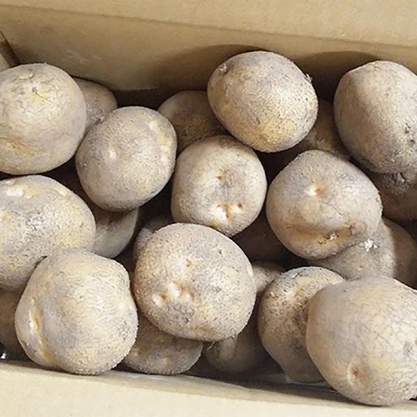 ※メーカー都合によりパッケージ等の外装面で異なる場合がございますので、あらかじめご了承くださいませ(免責) 画像は見本(イメージ)です。画像内に写った期限は撮影時のものであり、お届けする商品は期限内となります。詳細な期限については直接お問合...