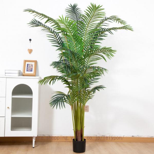 【発売日：2024年12月25日】１、サイズが写真に示す寸法を参考にしてください。大型商品は2小包に分ける必要があります。２、自然な雰囲気を演出し、空間に豊かな緑をもたらします。【本物そっくり】葉の表面には明確な線があり、グラデーションの葉...