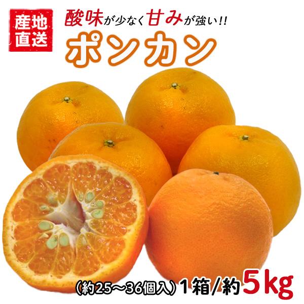 ポンカンはインド原産の柑橘です。香りが強く、コクのある甘みの濃い果肉が特徴です。酸味は少なく甘みが強いため、酸っぱいみかんが苦手な方にお勧めです。農家直送でお届け!!季節限定商品です。送料：送料無料（北海道・沖縄・離島を除く）納期：3〜5営...