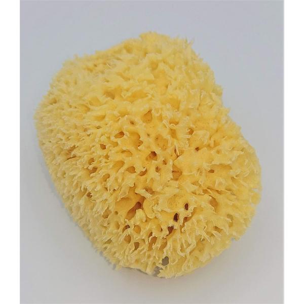 本商品はOPP袋の包装になります。握りやすいサイズでお肌に優しくボディ洗いに適した海綿では品質のいいハニコム種です。柔らかく弾力があり良く水分を吸収、アトピー肌・敏感肌の方も優しく洗えます。本体の平均サイズ：約90ｍｍ×60ｍｍ×125ｍｍ...