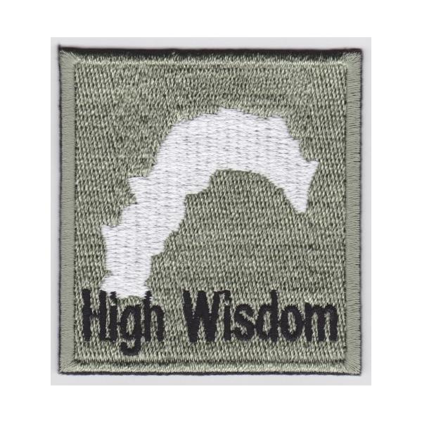 IXAEMB製の刺繍パッチです。裏面はベルクロのフック面なのでループ面の付いている装備品やバッグ、衣類に簡単に取り付け可能です。太陽光や蛍光灯などから光エネルギーを吸収して暗闇の中で発光します。鰹のたたきは最強ぜよ。サイズ：横60.0mm×...