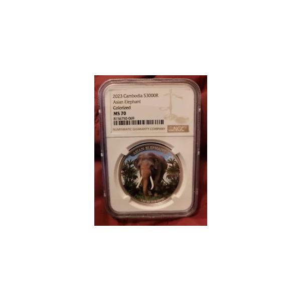 2023 カンボジア 3000 レイル シルバー 1 オンス アジアゾウ カラーライズ NGC MS70