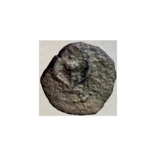 本物の古代ユダヤコイン聖書の未亡人ダニ 150BC-17AD Prutah