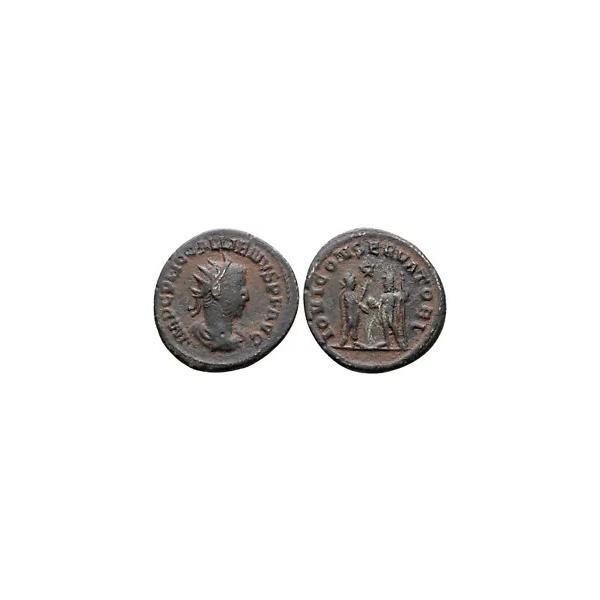 ローマの属州 Billon Billon Antoninianus - サモサタ 253-268 AD - ガリエヌス