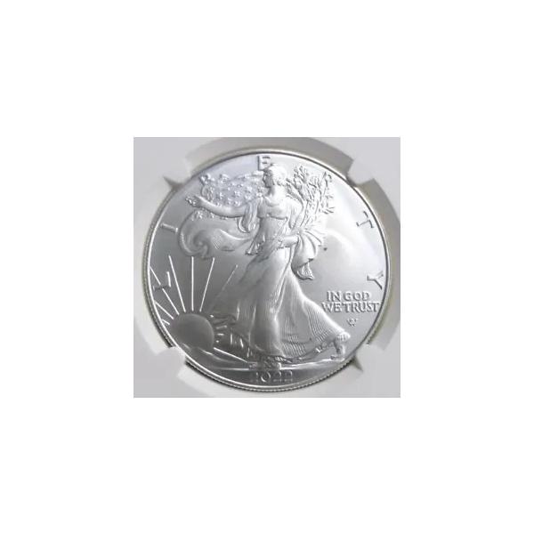 2022 NGC MS 68 表面ストラック スルー ミント エラー シルバー イーグル ドル、シルバー $1