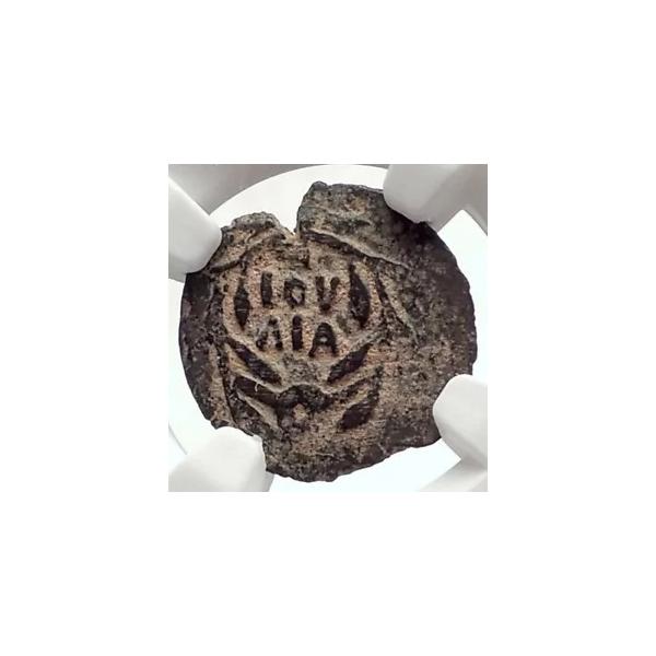 VALERIUS GRATUS ローマ エルサレム知事 TIBERIUS LIVIA 聖書コイン NGC i70893