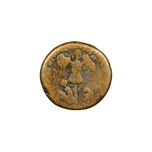 ティトゥス 79-81 AD、JUDAEA CAPTA TYPE Caesarea Maritima AE 23 コイン ローマ帝国、NGC