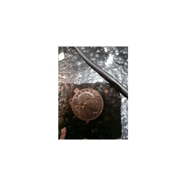 エラー - 2023 P - Jovita Idar Quarter ?NewPrice? エラーコイン「IN COD WE TRUST」?