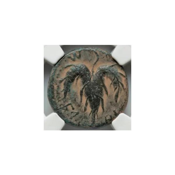 NGC XF BAR KOKHBA コクバ 132-135、ユダヤ戦争反乱 2 年目、ユダヤ中部ブロンズ