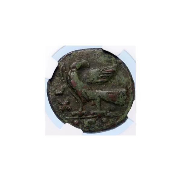 OSTROGOTHS ローマの自治体貨幣 古代 493AD ローマスタイルのコイン NGC i68146