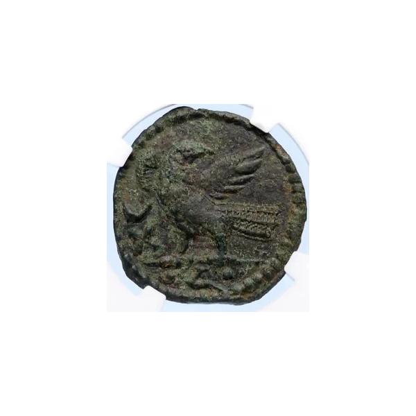 OSTROGOTHS ローマ市営貨幣 古代 493AD ローマ風コイン NGC i68157