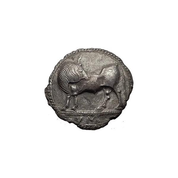SYBARIS in LUCANIA 550BC シルバー ノモス ステーター 古代ギリシャ コイン BULL NGC i61209