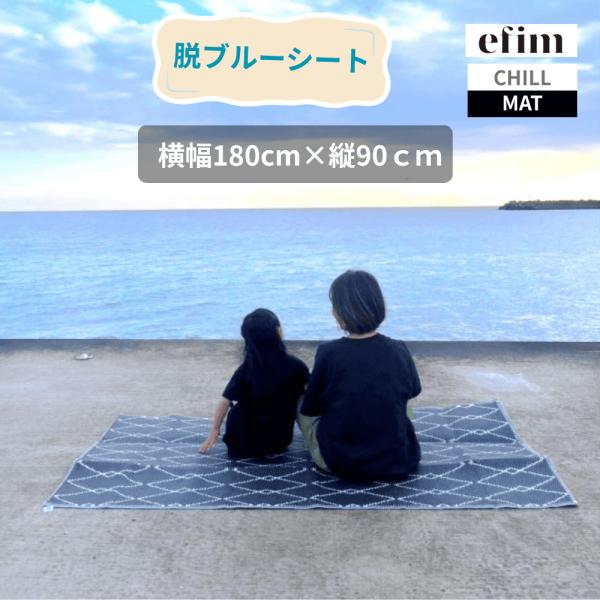 持ち運びに便利な不織布トートバッグがセットになった「チルマット」は、再生ポリプロピレンを使用した環境に優しいサスティナブルデザインが魅力です。軽量かつコンパクトなため、ピクニックやキャンプ、アウトドアといった行楽シーンはもちろん、室内のイン...
