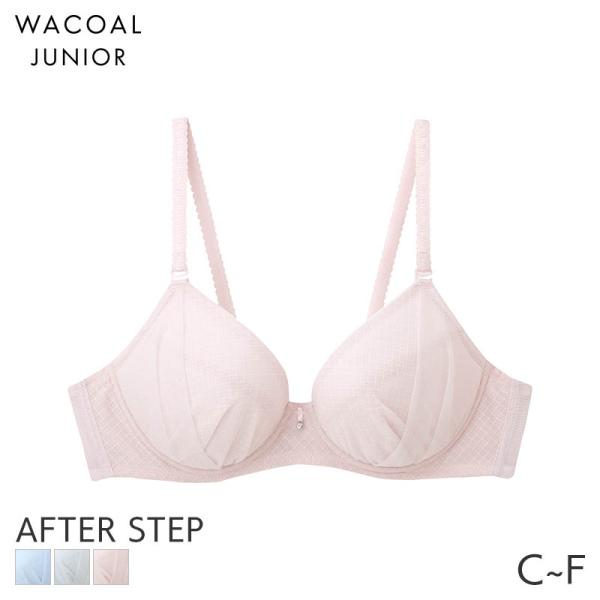 ■サイズ　C65 C70 C75 C80　D65 D70 D75 D80　E65 E70 E75 E80　F65 F70 F75■主素材　ナイロン ポリウレタン■ホック　2段2列■ワイヤー　有　金属ワイヤー■パッド　無■パッド受け　無■スト...