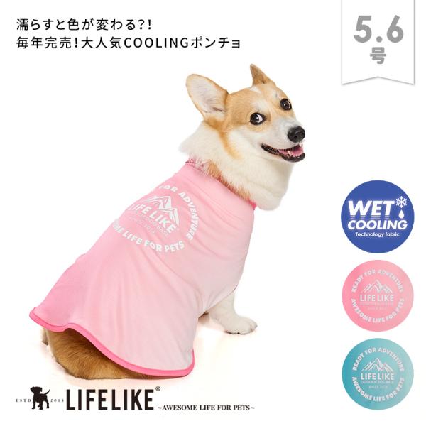 爽やかなグラデーションカラーが夏らしい、ひんやり冷たいクールポンチョ。中央にはアウトドア風のロゴがプリントされており、涼しげなデザインが魅力。中央のロゴプリントは、水に濡らすと色が変わる「マジックプリント」仕様。冷感生地がひんやりしているこ...