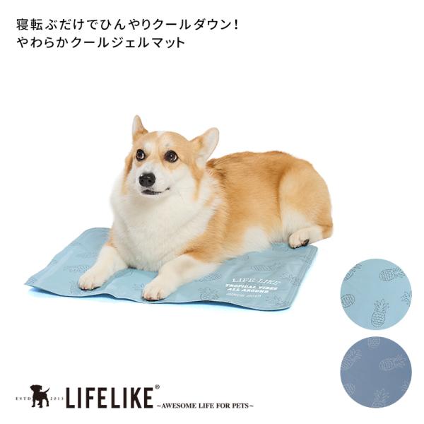 暑い夏にぴったりの、パイナップル柄がかわいいクールジェルマット。カレッジロゴがポイント。内部を二等分にすることで、ジェルの冷たさが均等に広がり、ひんやり感が持続可能。二つ折りにして持ち運べるので、お出かけにも便利。ジェルが内部のウレタンに浸...