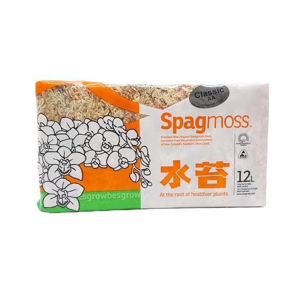 グリーン/150グラム/-・PackageQuantity:1・パッケージ個数:1・水苔　ミズコケ　１５０ｇ　（１２Ｌ） ニュージーランド産・ニュージーランド産の水苔は長さがあり、しっかりしているので通気性が良い 園芸用品として、洋ラン　観...