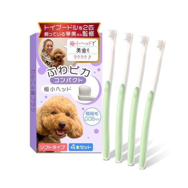 グリーン/4本セット/-・わんこの歯茎に優しいソフトタイプ・0.08mmの極細毛で歯と歯茎の隙間もしっかり洗浄可能です・お口が小さいわんちゃんの奥歯にも届くコンパクトサイズ・持ち手はカーブ形状で使いやすいです・お得な4本セットです