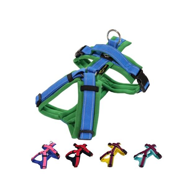 2024 グリーン×ターコイズ/S/10000915-4-15・Size:SColor:2024 グリーン×ターコイズ・クッション性のある素材を採用