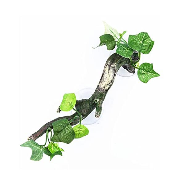 グリーン/-/-・Color:グリーン・パッケージ個数:1・水族館のような仕上がり爬虫類や魚用の装飾品はリアルに近い岩組み、流木や水草のコンビネーションが本格的なケージにレイアウトしてくれるのでオススメです。・爬虫類/両生類/小魚人工水草の...