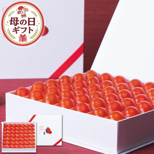 【発売日：2026年05月06日】毎日に「一粒の贅沢」を届ける、特別なフルーツミニトマト。糖度11の濃厚な甘さは、トマトの常識を軽々と超え、口に入れた瞬間に思わず笑顔がこぼれるほど。果実のようにジューシーで、後味はすっきり。まるでスイーツの...