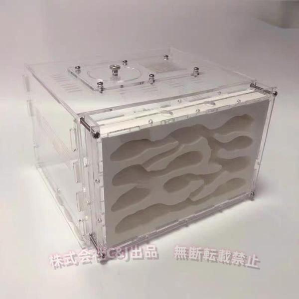 ■商品詳細タイプ：石膏巣サイズ：Sサイズ：8.5 * 9 * 7.5※Lサイズ、Mサイズも販売しております！素材：石膏+アクリル通知：アリなしのアリ農場のみ。特徴1.湿潤材料として石膏を使用することは、生きているアリに最適です。2.湿気が巣...